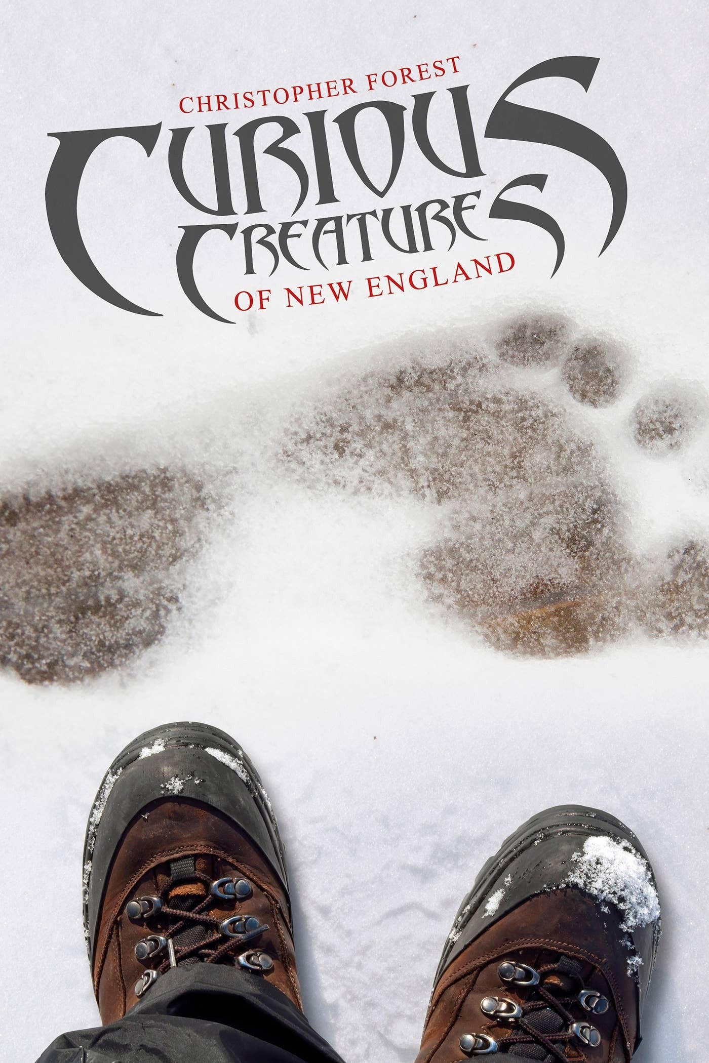 Curious Creatures of New England | The Groovy Witch